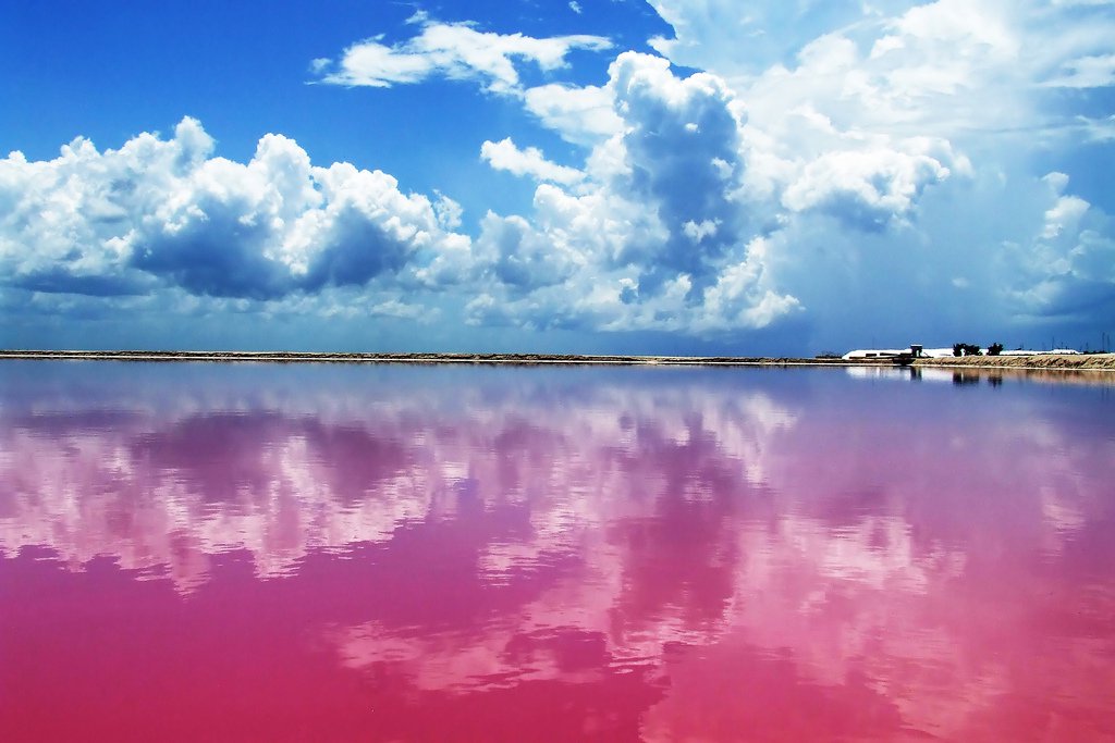 Las Coloradas, un lagon à couper le souffle ! | Profession Voyages